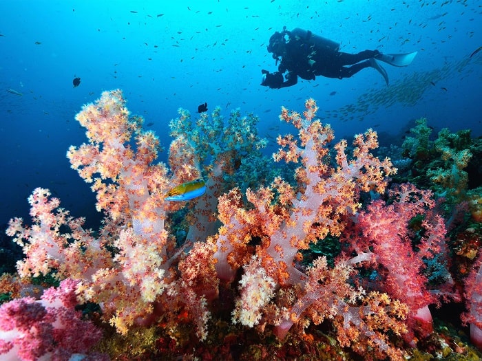 Best islands to visit in September: sun, fun, and more