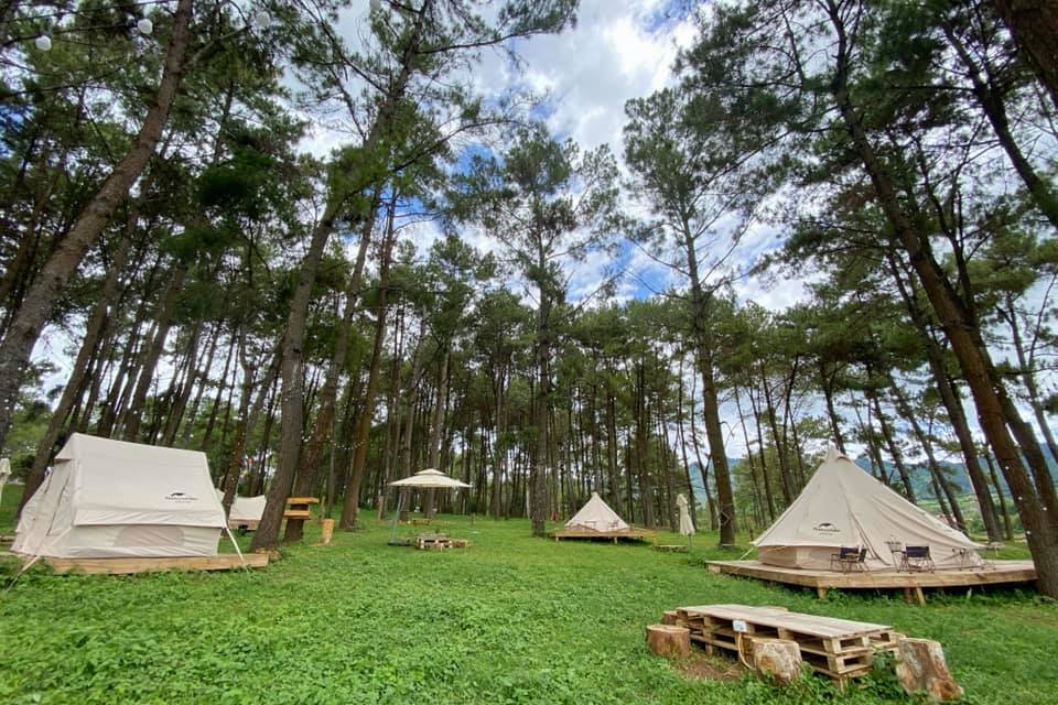 Forest in Vietnam: 10 awesome ones to connect with nature